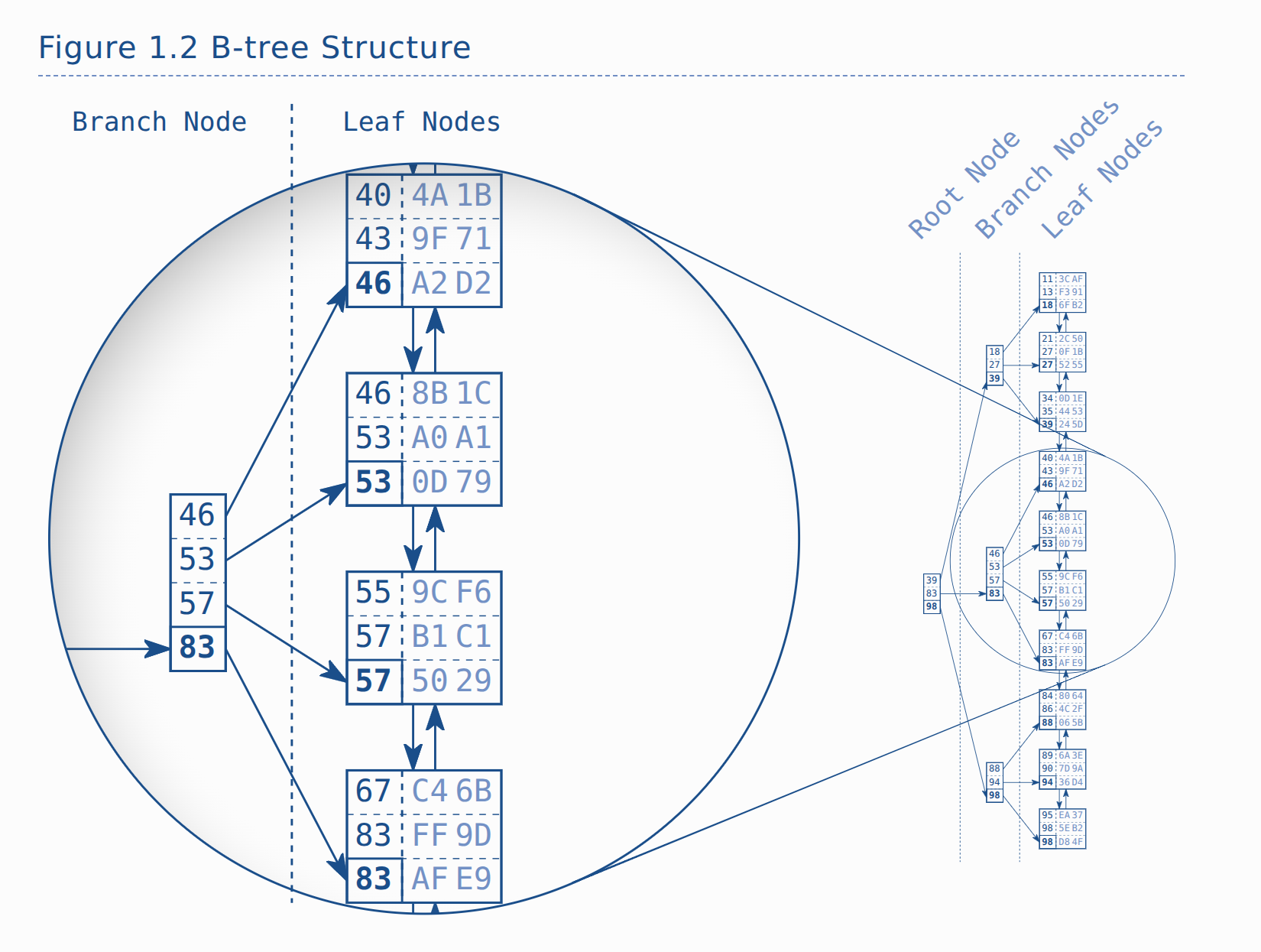 Anatomy Of An Index | Austin's SWE Notes 😭